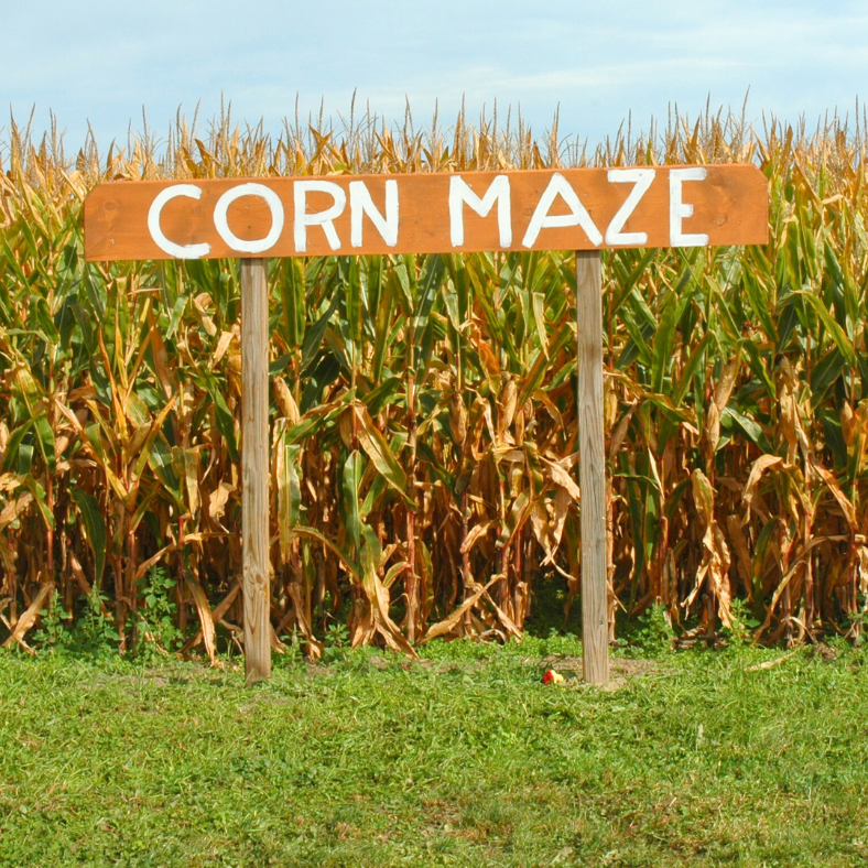 Big List of Corn Mazes and Pumpkin Patches in Virginia
