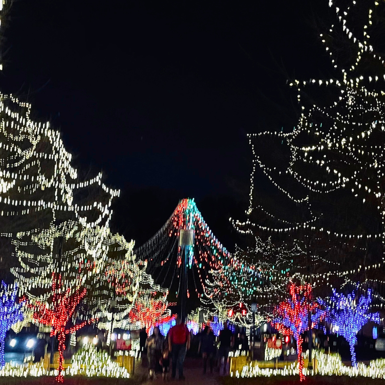 Best Christmas Lights Displays in Georgia